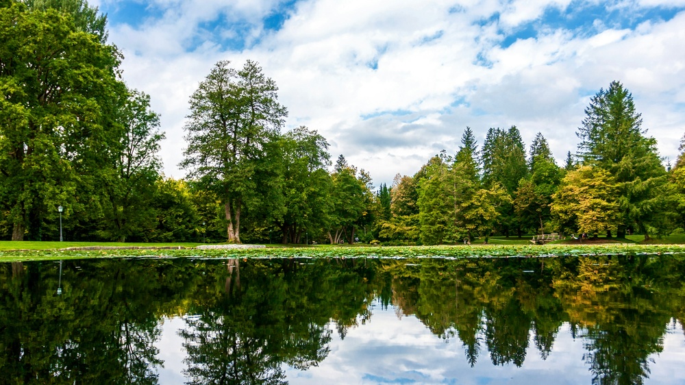The most beautiful running routes in Cologne - Rausgegangen