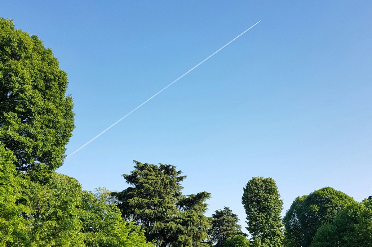 Freizeitpark Rheinaue in Bonn | Alle Events, Termine & Tickets ...