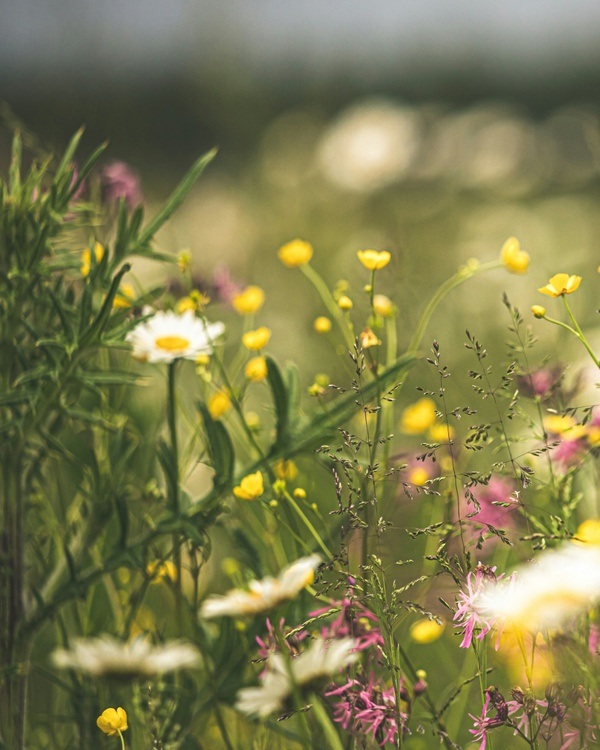Raus aus der Stadt: Die schönsten Sommer-Ausflüge im Ruhrgebiet ...