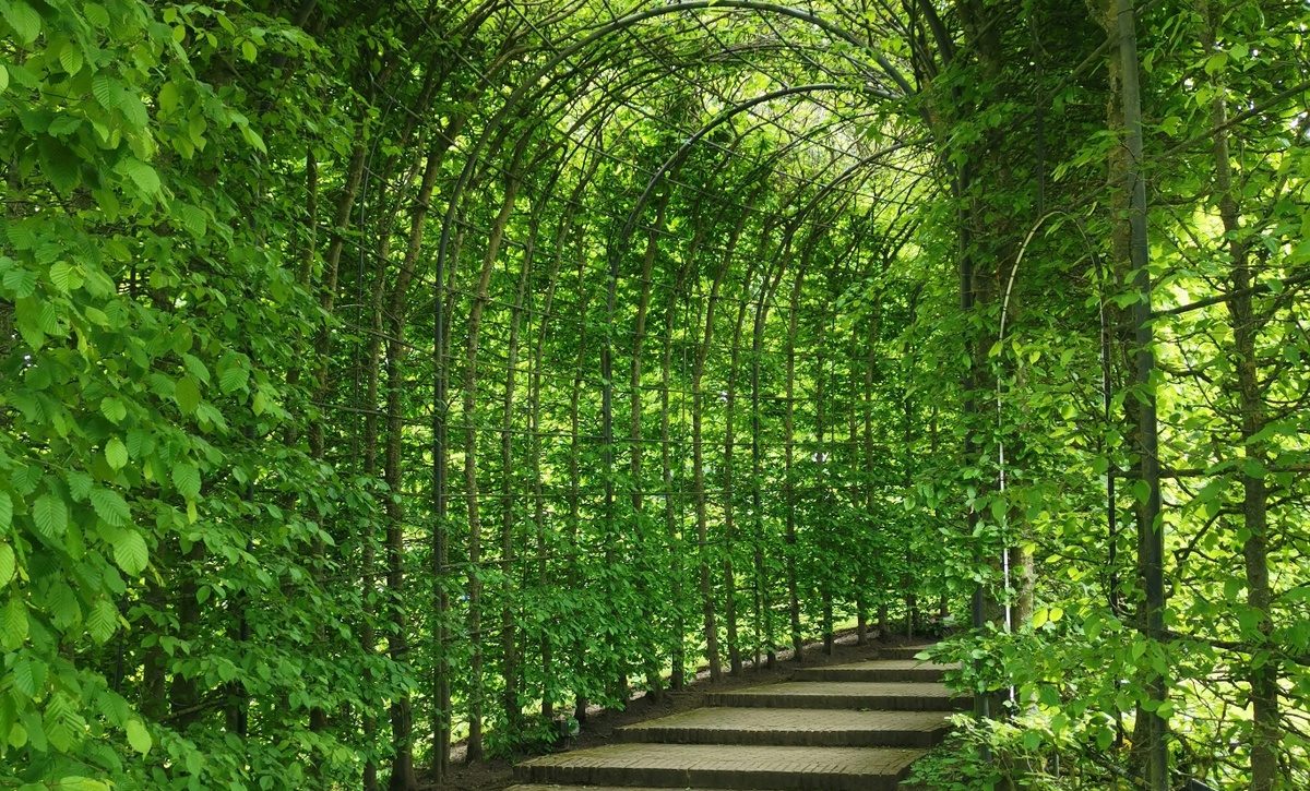 STAUBLAU galerie & café in Oldenburg | Alle Events, Termine & Tickets ...