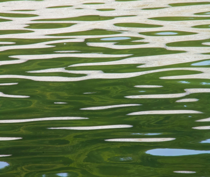 Schwimmbad Hamburg Guide - Die schönsten Freibäder für den Sommer ...