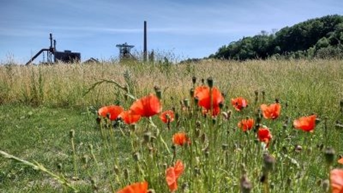 Gewerbe- und Landschaftspark Henrichshütte in Hattingen | Alle Events ...