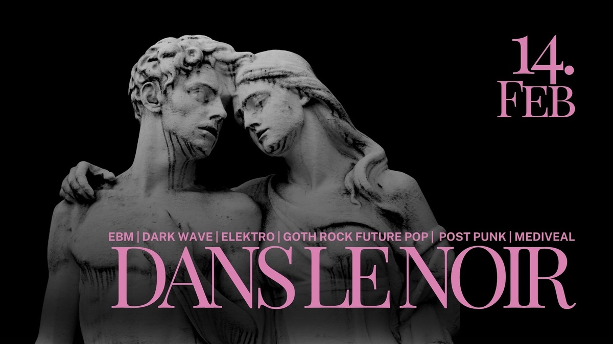 DANS LE NOIR - EBM | Elektro | GothRock | DarkWave | Futurepop ...